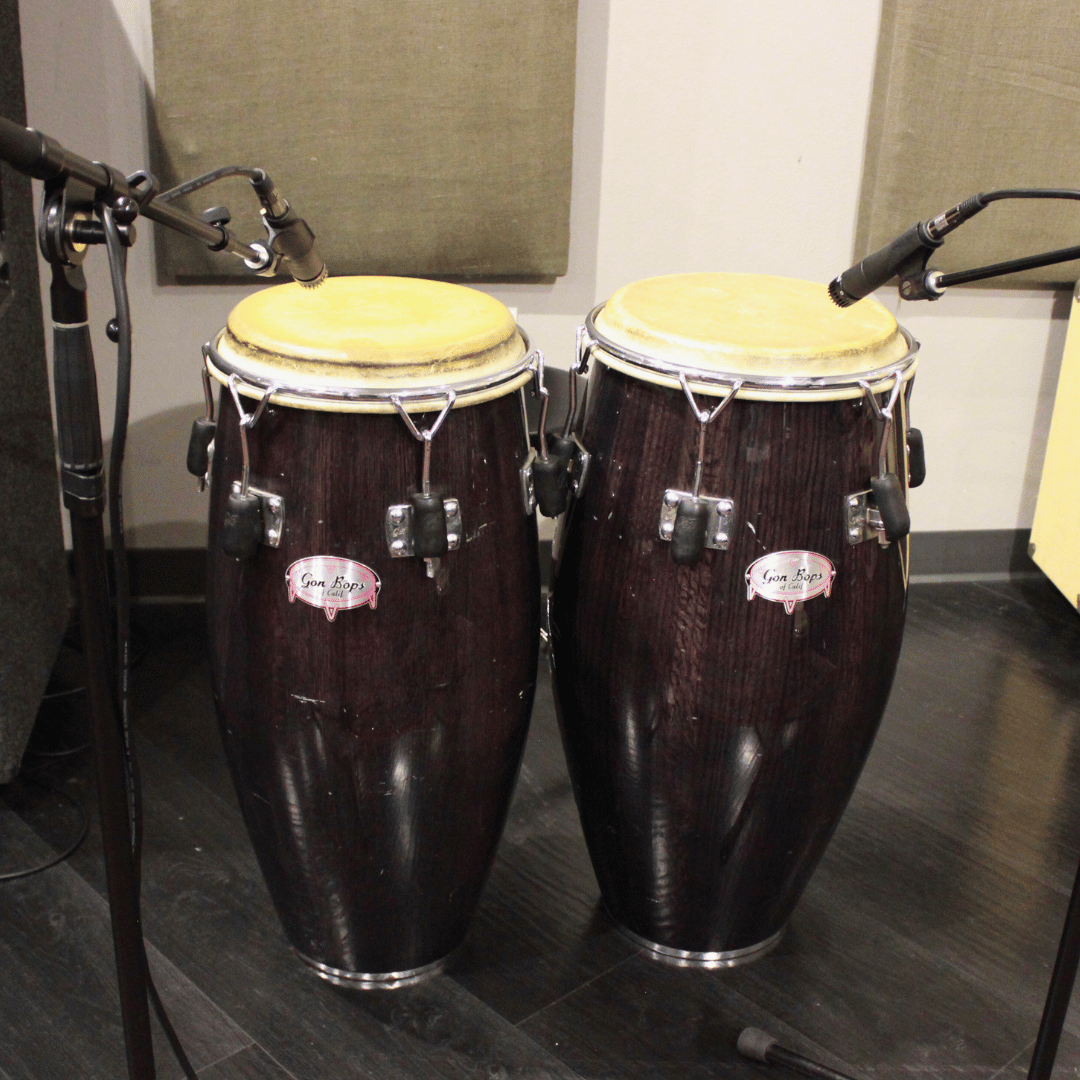FMG Sound | Samples de Percusión Latina & Cumbia Sample Packs – Fmgsound